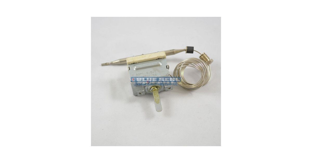 Blue Seal 022406/51 Thermostat - Catering Appliance Superstore