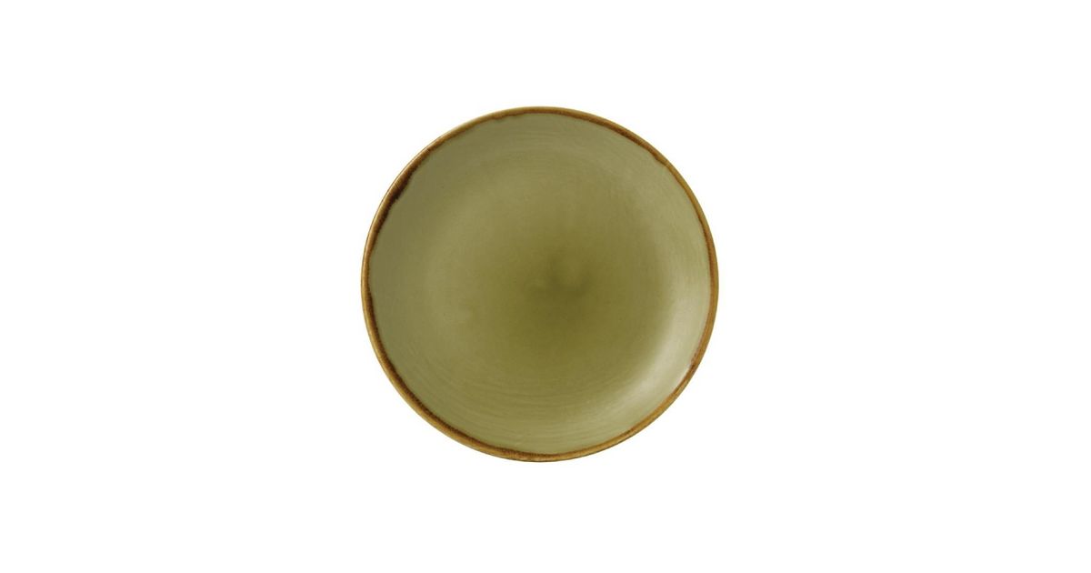 Dudson Harvest Evolve Pattern Coupe Plates